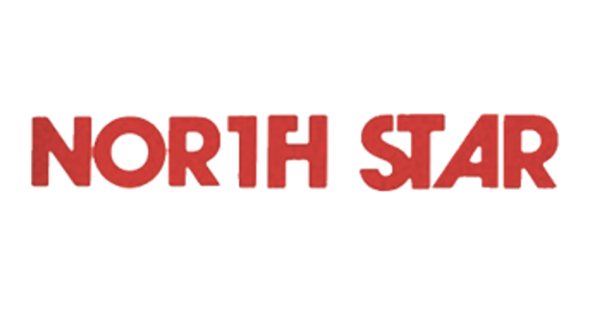 north star logo bata